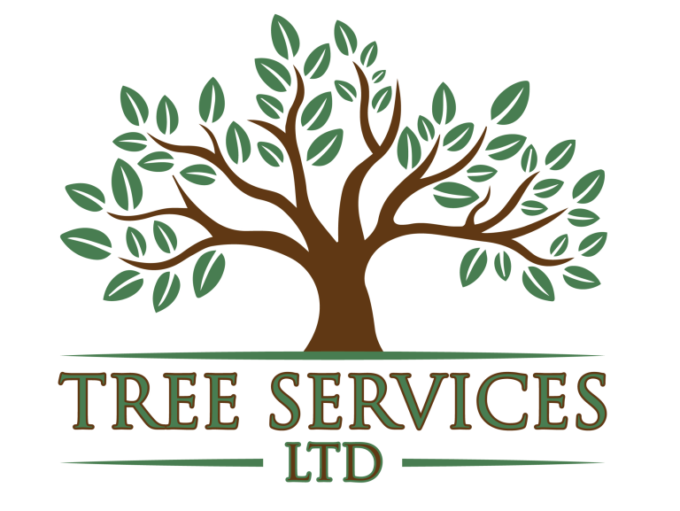 Tree Services LTD | Tree Surgeon in Kent | NPTC Qualified